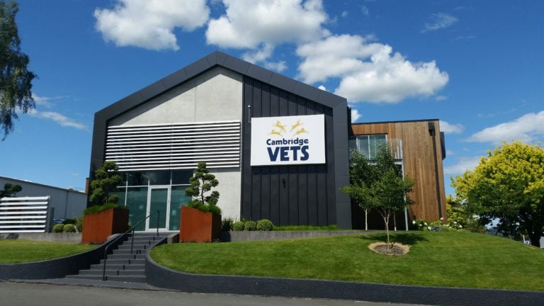 Caring for Your Animals for over 70 years - Cambridge Vets