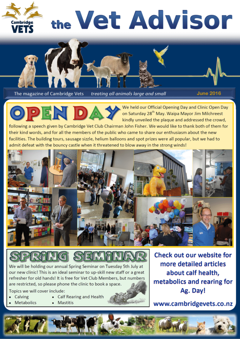 The Vet Advisor- Animal Care Services | Cambridge Vets