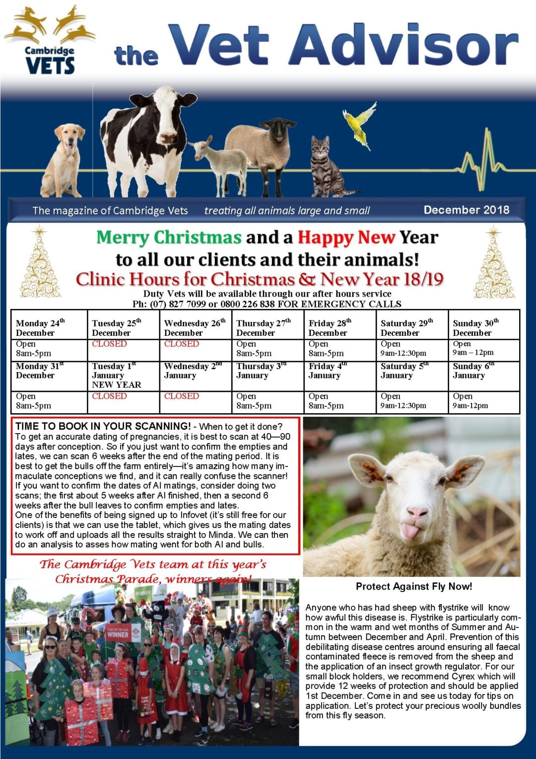 The Vet Advisor- Animal Care Services | Cambridge Vets