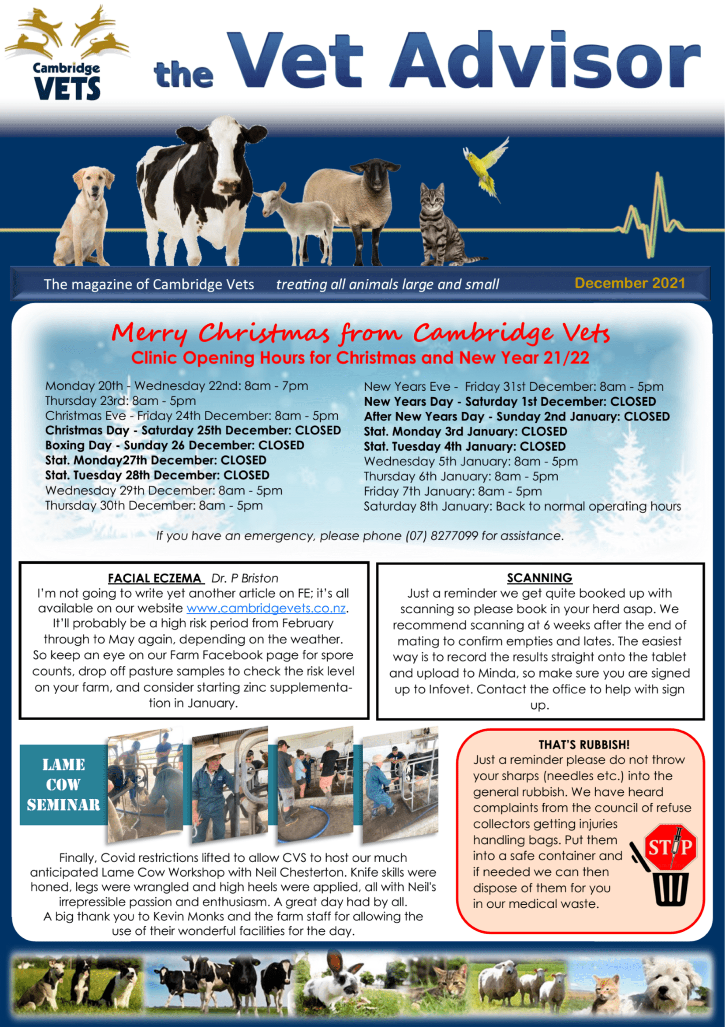 The Vet Advisor- Animal Care Services | Cambridge Vets