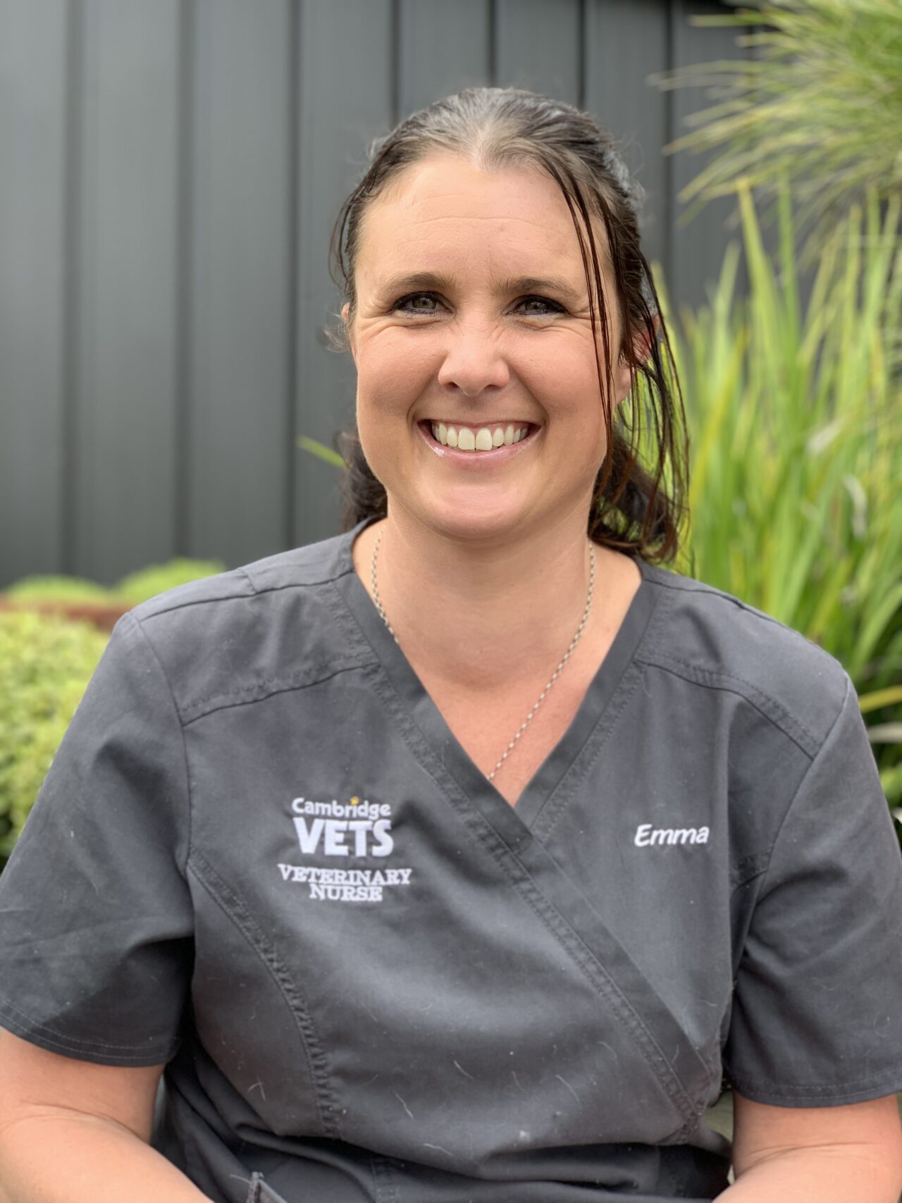 Pet Animal Veterinarians | Cambridge Veterinary New Zealand