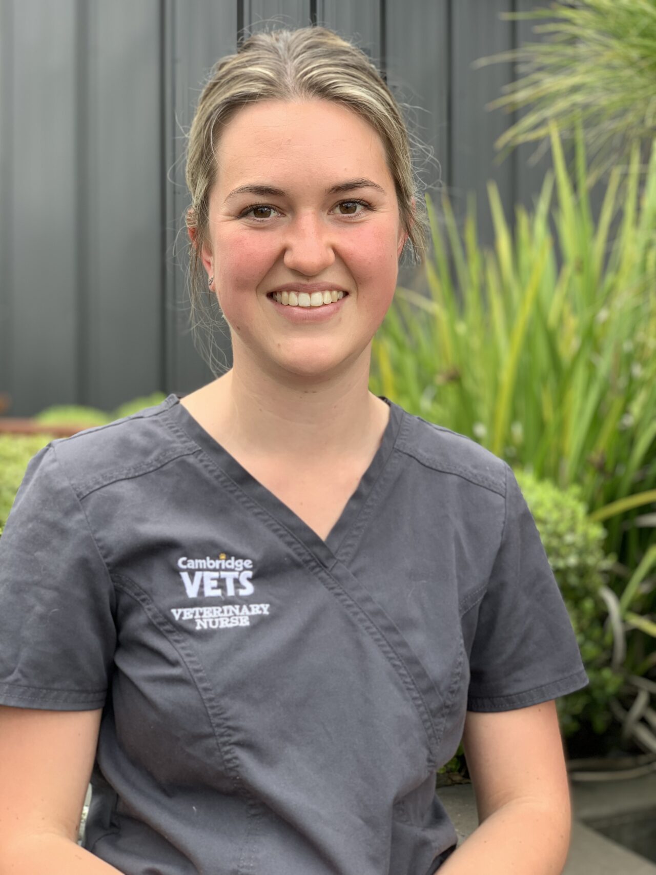 Pet Animal Veterinarians | Cambridge Veterinary New Zealand