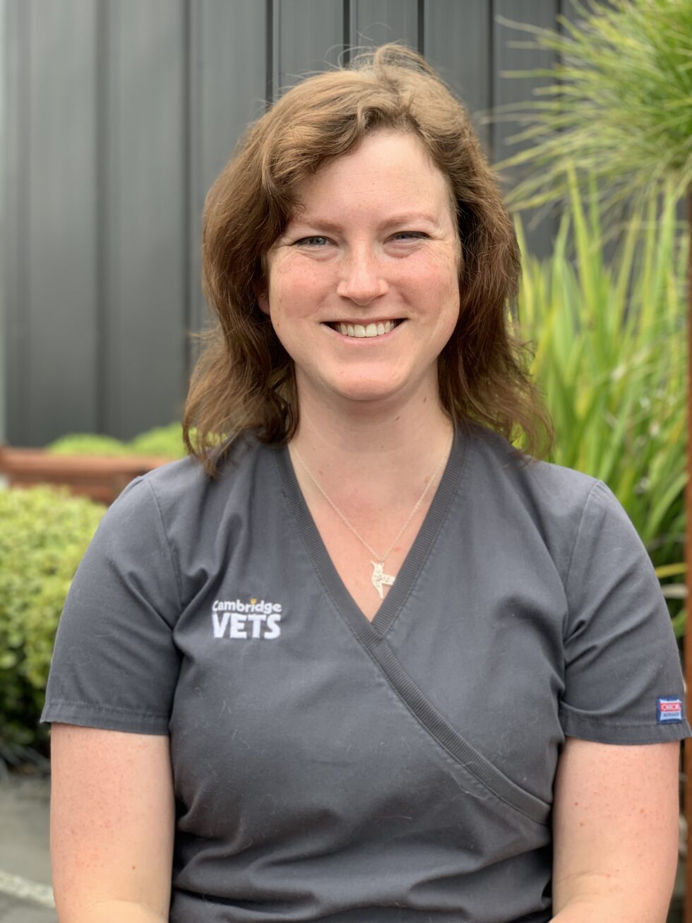 Pet Animal Veterinarians | Cambridge Veterinary New Zealand