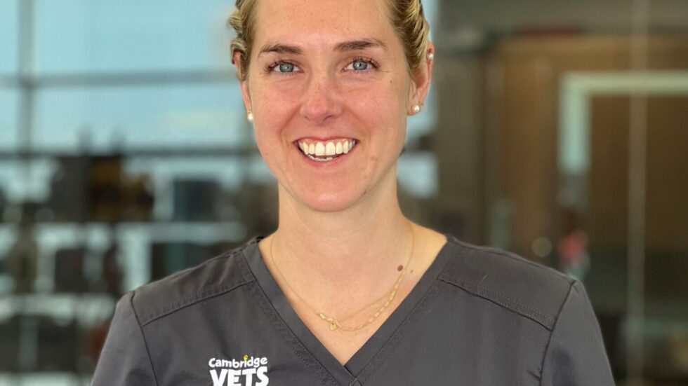 Pet Animal Veterinarians | Cambridge Veterinary New Zealand