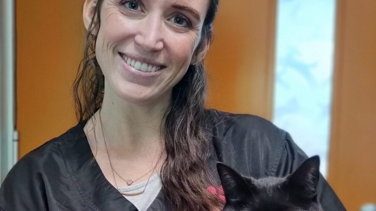 Pet Animal Veterinarians | Cambridge Veterinary New Zealand