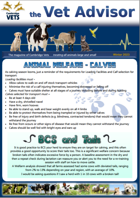 The Vet Advisor- Animal Care Services | Cambridge Vets