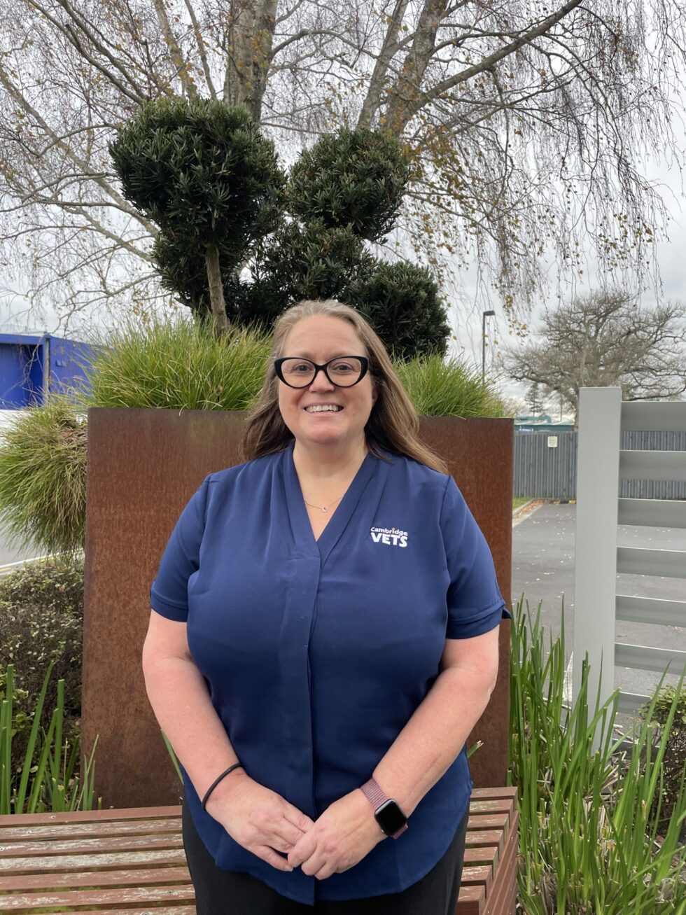 Office and Reception Staff - Cambridge Vet Services