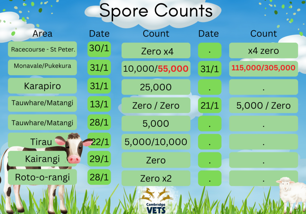 Spore Counts - Monitoring - Cambridge Vets