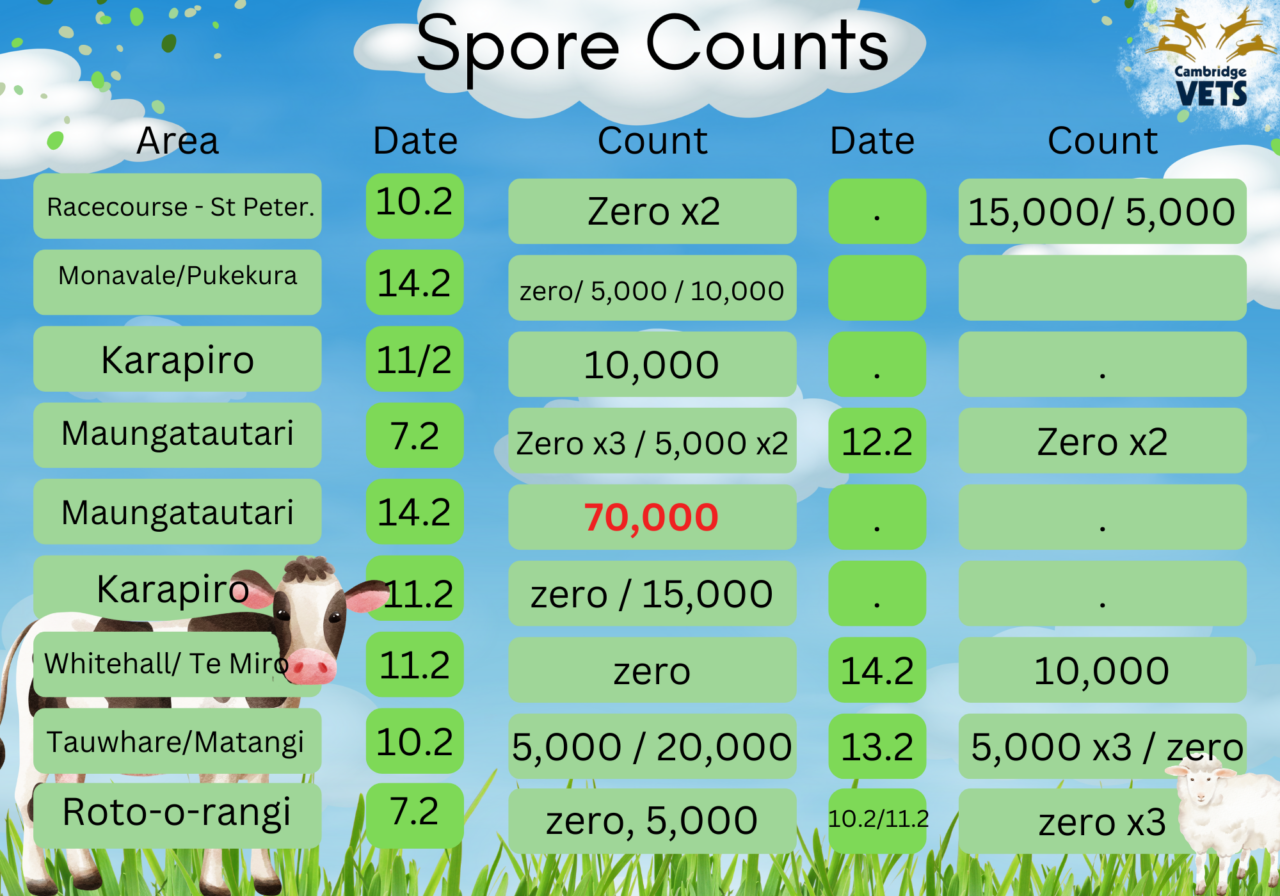 Spore Counts - Monitoring - Cambridge Vets